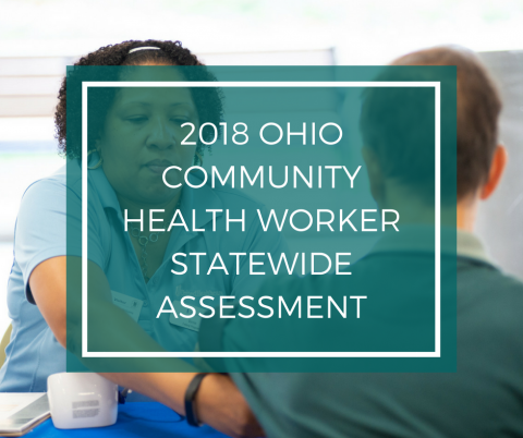 Findings from the 2018 Community Health Worker Statewide Assessment ...